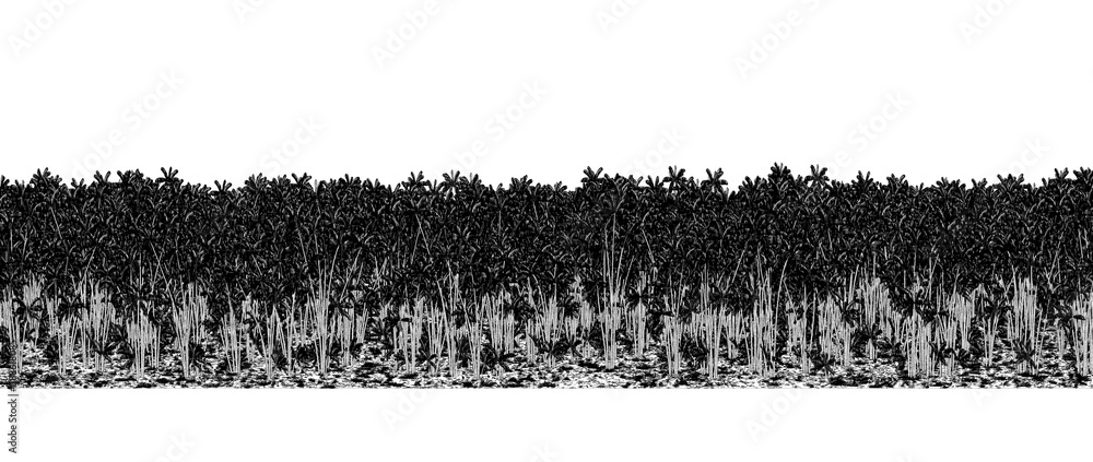 trees in the forest isolated on a transparent background, sketch ...