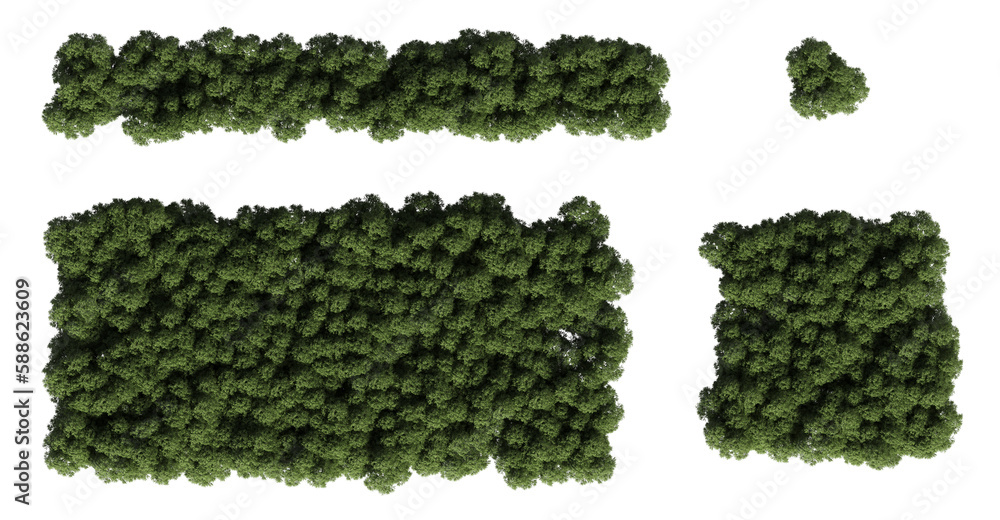 trees in the forest, top view, area view, isolated on transparent ...