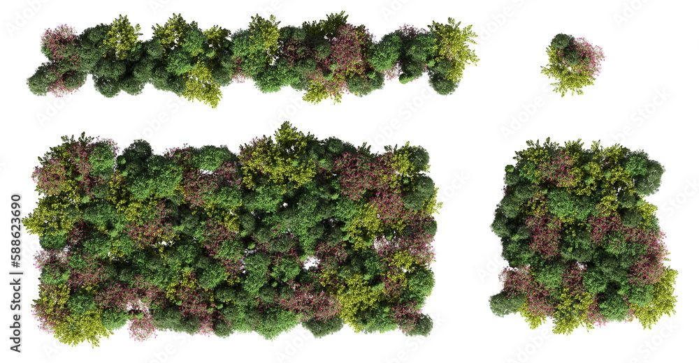 trees in the forest, top view, area view, isolated on transparent ...