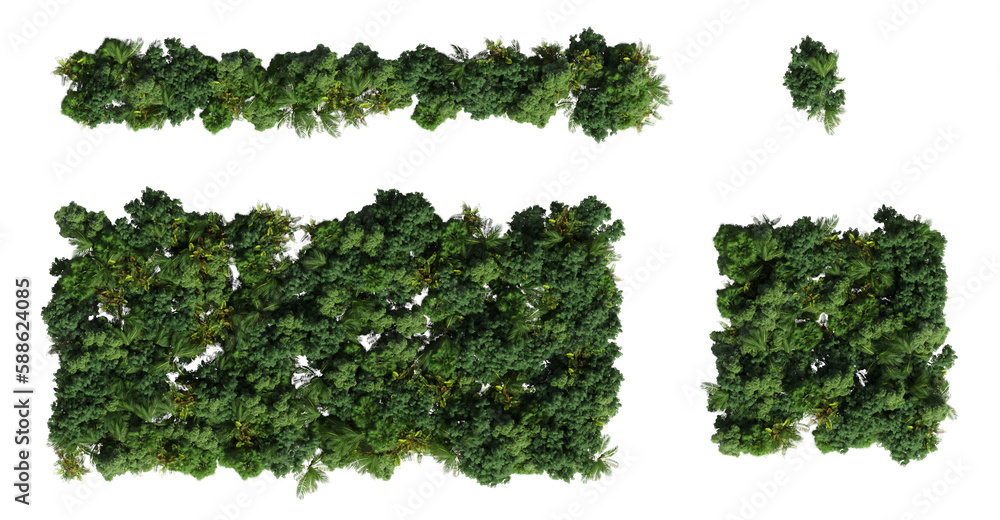 trees in the forest, top view, area view, isolated on transparent ...