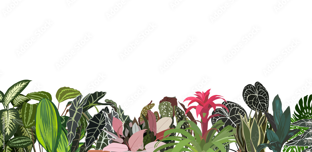 House plants and Tropical leaves background. Palm tree, monstera ...