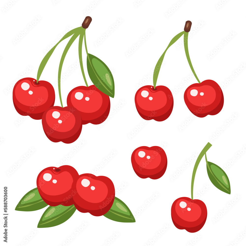 Set of vector fresh red cherries with leaves isolated on a white ...