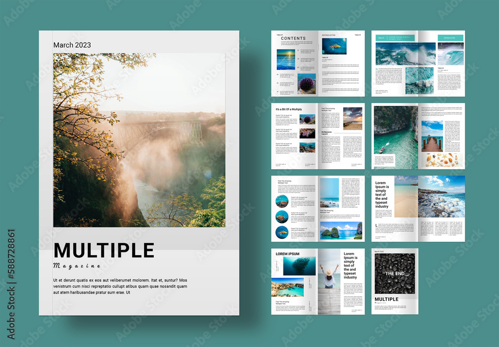 Multiple Magazine Stock Template | Adobe Stock