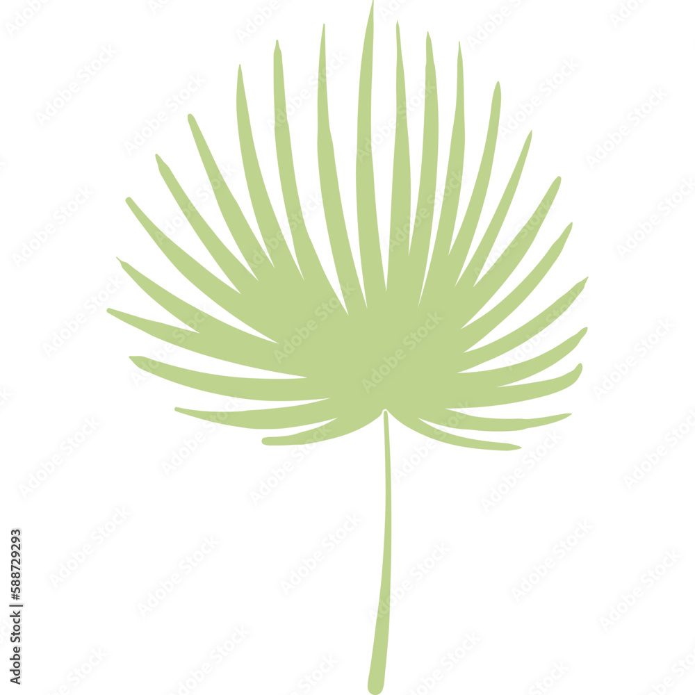 Tropical fan palm tree leaf hand drawn illustration. Flat style design ...