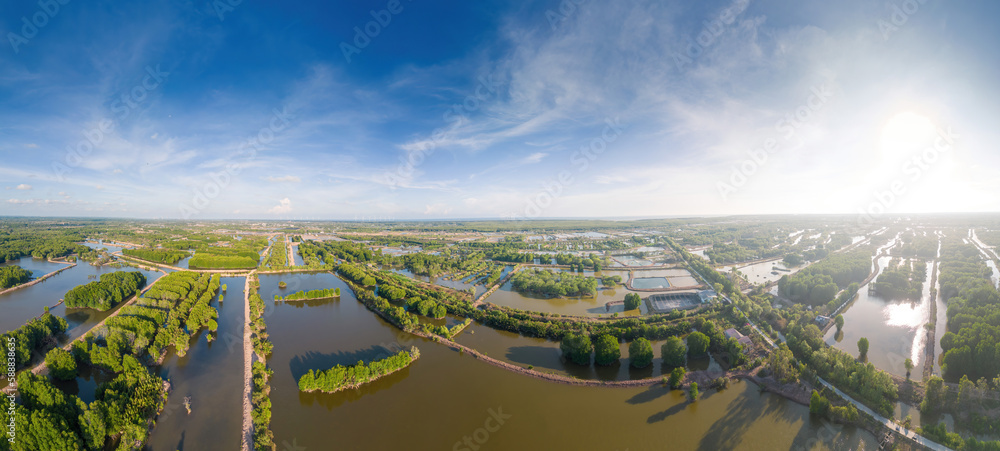 Aerial view of mangrove forest and shrimp farming in Tra Vinh province ...