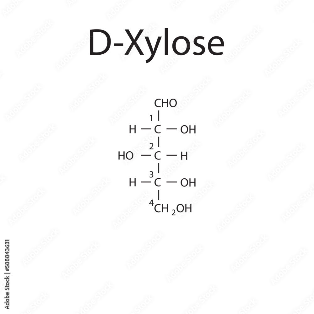 Straight chain form chemical structure of D-Xylose sugar. Scientific vector illustration on ...