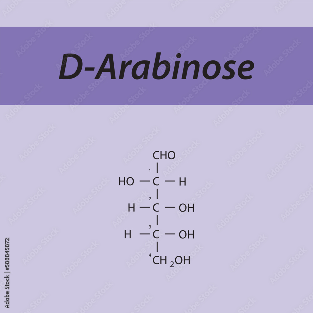Straight chain form chemical structure of D-Arabinose sugar. Scientific vector illustration on ...
