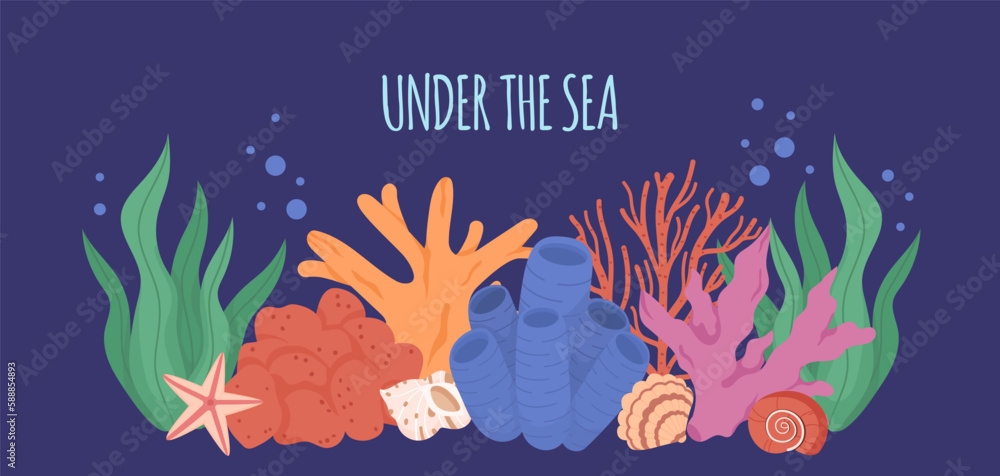 Horizontal sea Background with coral reef and sea shells. Underwater ...