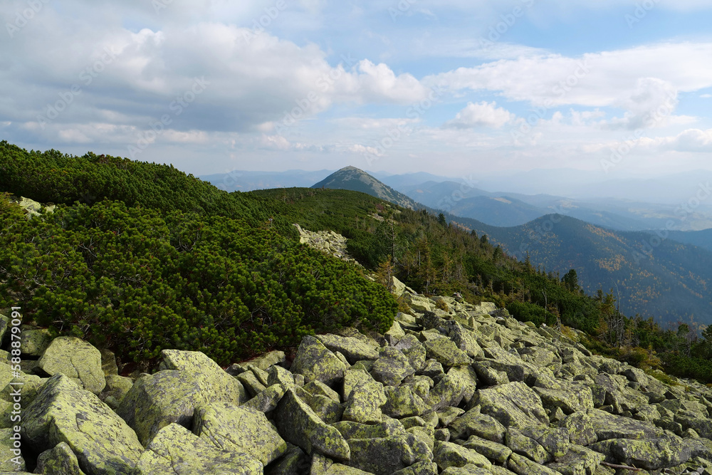 Stones covered with lichen in Gorgany - mountain range in Western ...