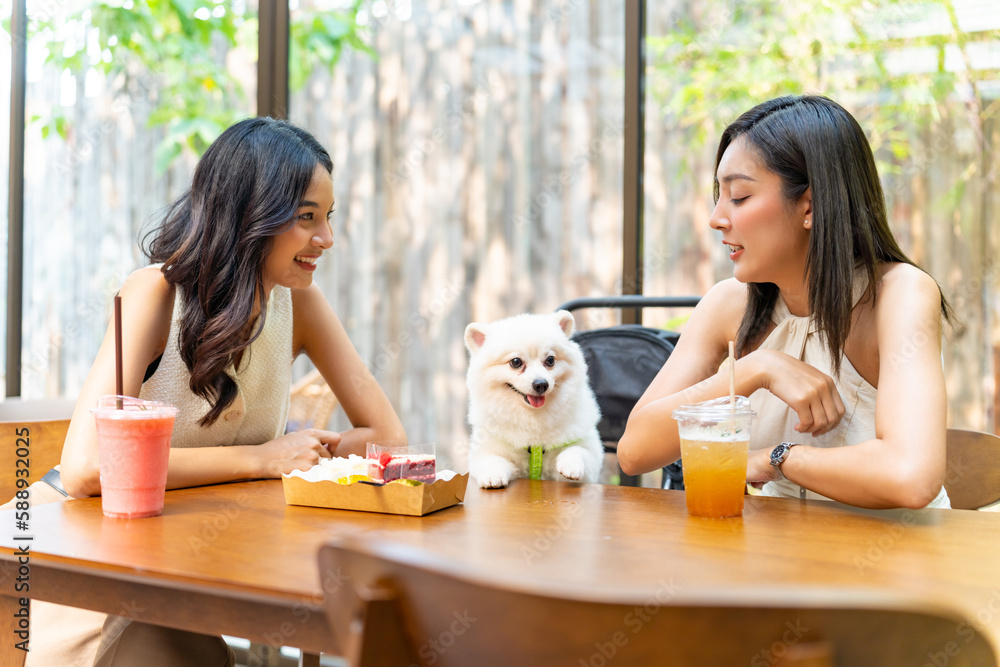 Asian woman friends have fun urban lifestyle playing with pomeranian ...