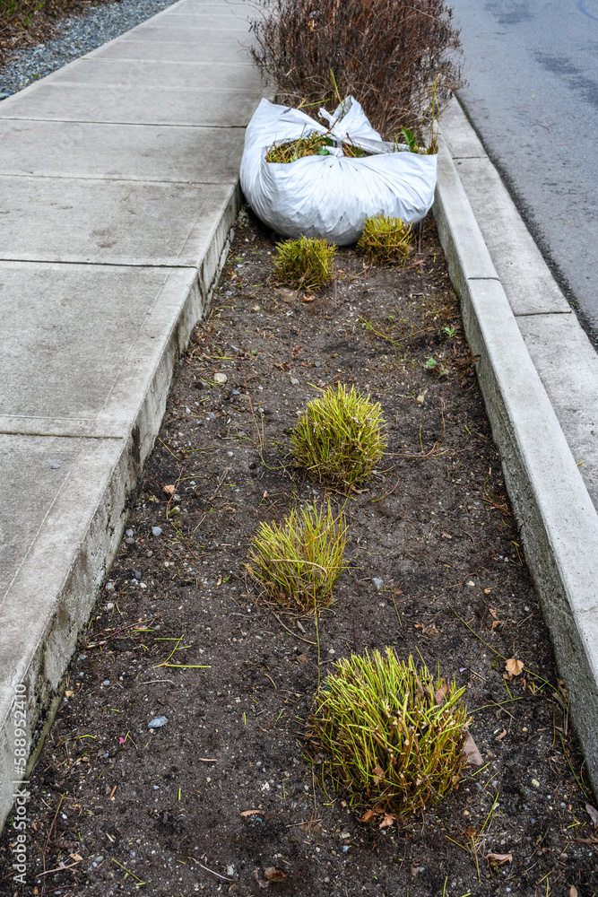 Spring cleanup of environmentally friendly Biofiltration Swale ...