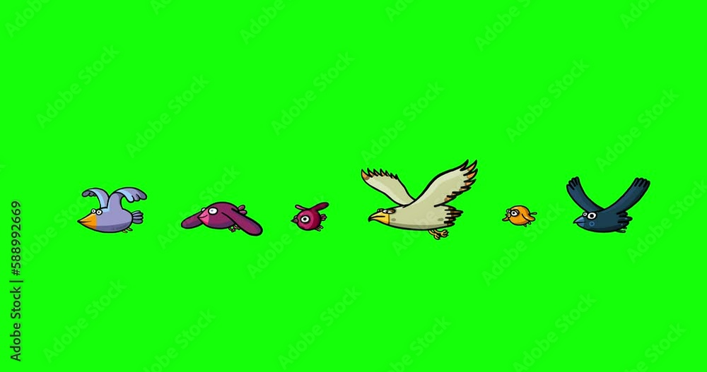 Flying birds - birdpack loop on green screen. Birds isolated good for ...