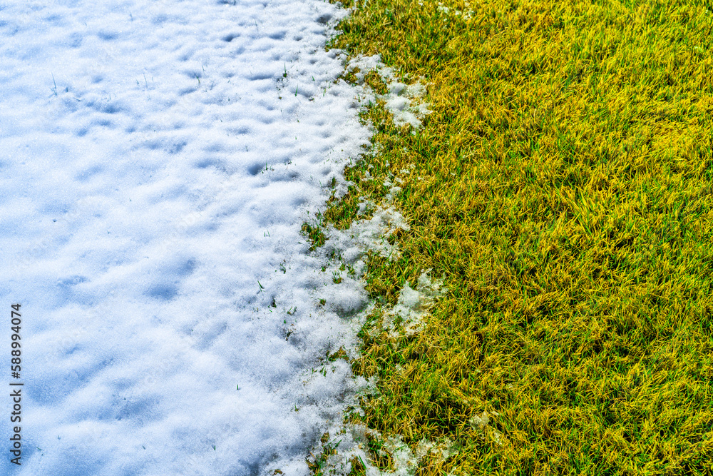 Foto de Green grass and white snow. Melting snow on the lawn, top view ...