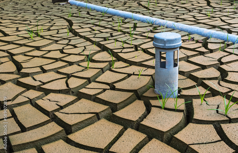 Cracked dried earth in pond during drought environment Stock Photo ...