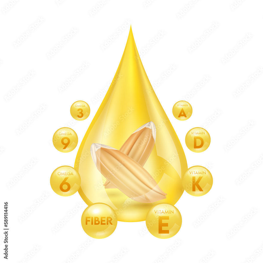 Paddy ear rice seed in oil dripping with Omega, Vitamins and Fiber ...