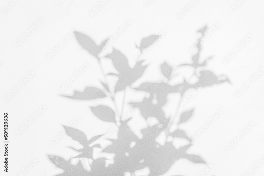 Leaf shadow and light on wall background. Nature tropical leaves tree ...