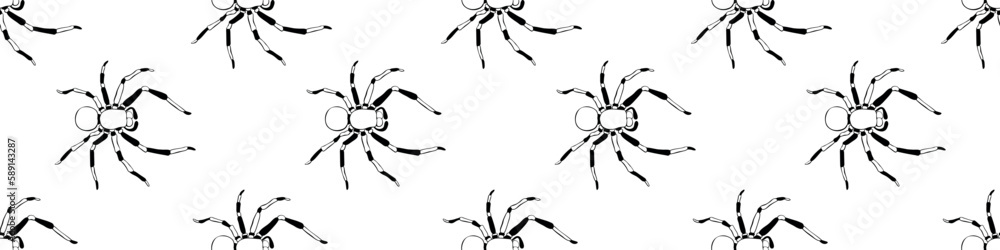 Vector seamless pattern of outline spiders in doodle style. Simple ...