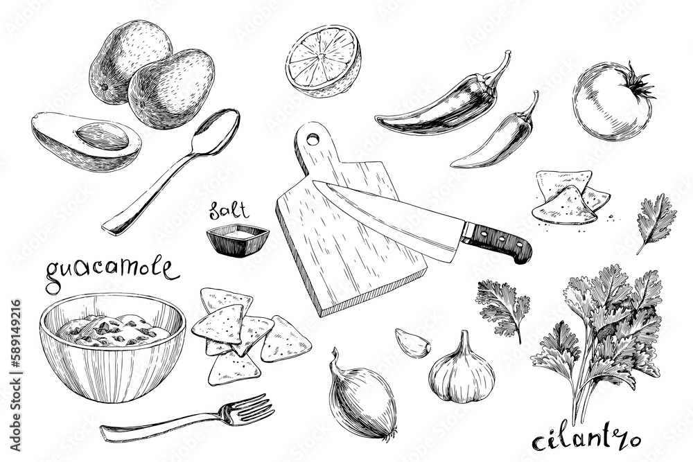 Vector hand-drawn illustration of a set of ingredients for guacamole ...