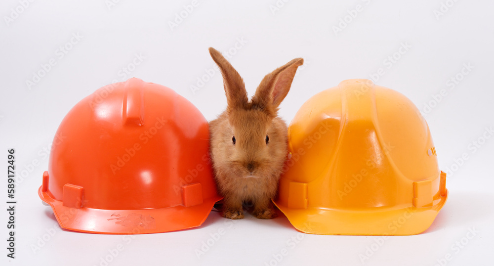 builder's day, symbol of the year easter bunny in a construction helmet ...