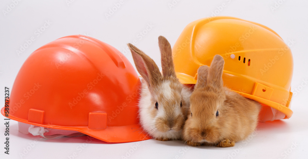 builder's day, symbol of the year easter bunny in a construction helmet ...