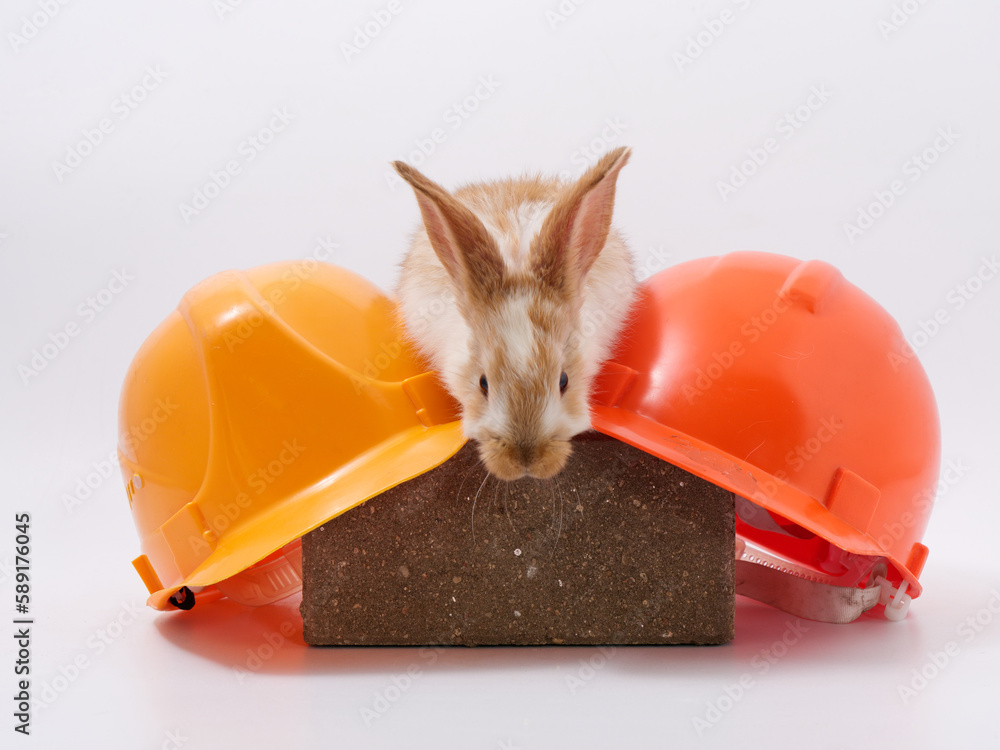 builder's day, symbol of the year easter bunny in a construction helmet ...