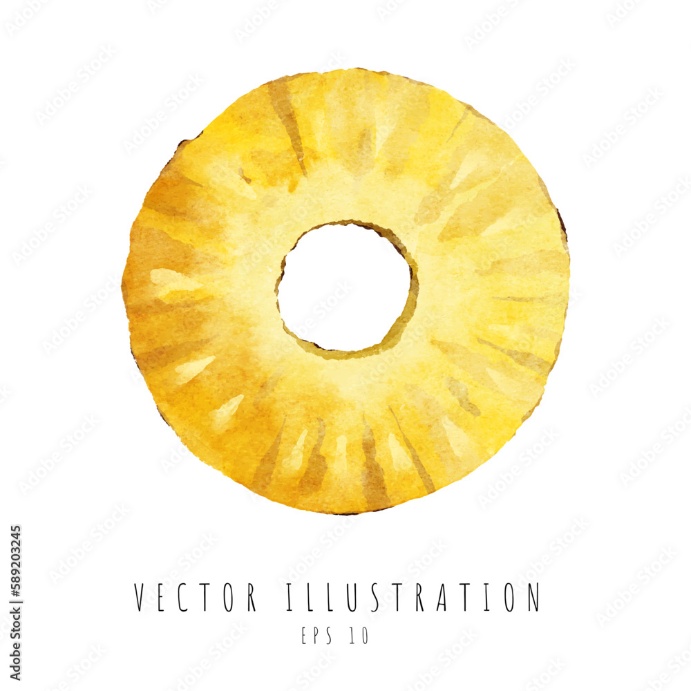 Pineapple with hole cross section watercolor painting isolated on white ...