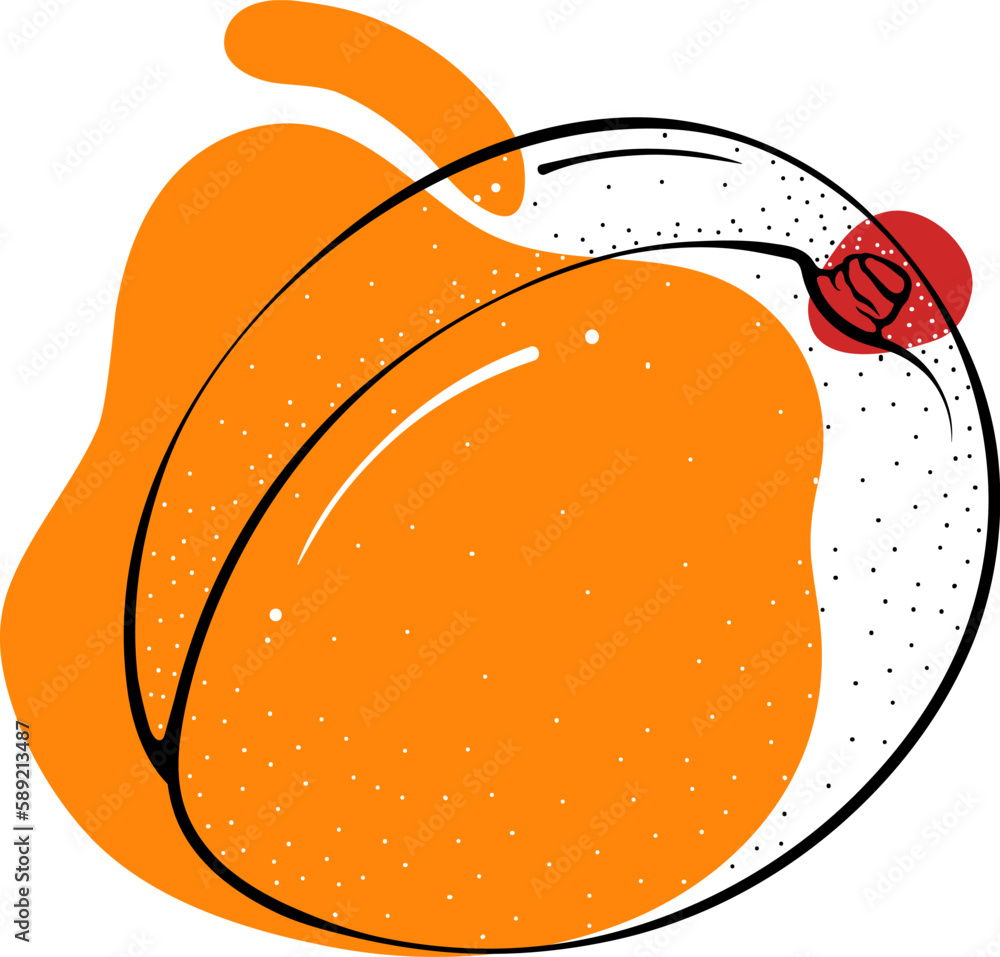 Whole apricot outline. Stylish sketch with abstract colored spots ...