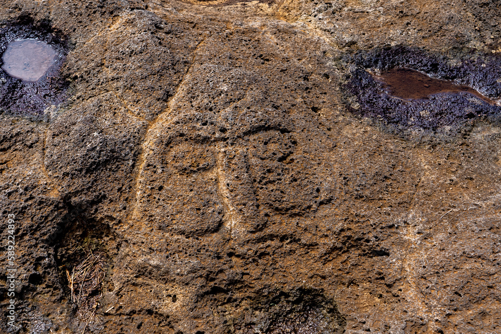 Petroglyph of face carved on the lava rock at the restored ceremonial ...