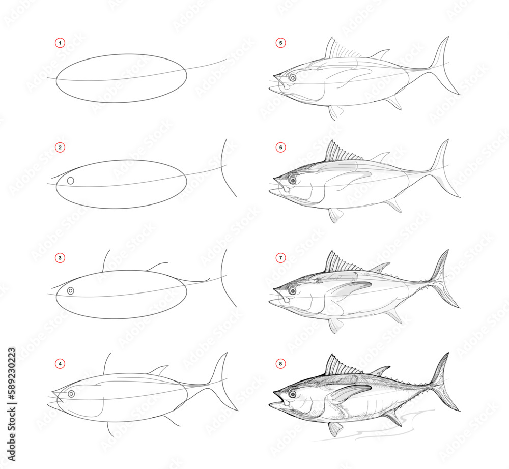 Page shows how to learn to draw sketch a game fish tuna. Pencil drawing ...