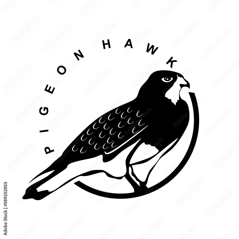 Pigeon hawk logo design. Bird symbol in minimal style. Pigeon hawk bird ...