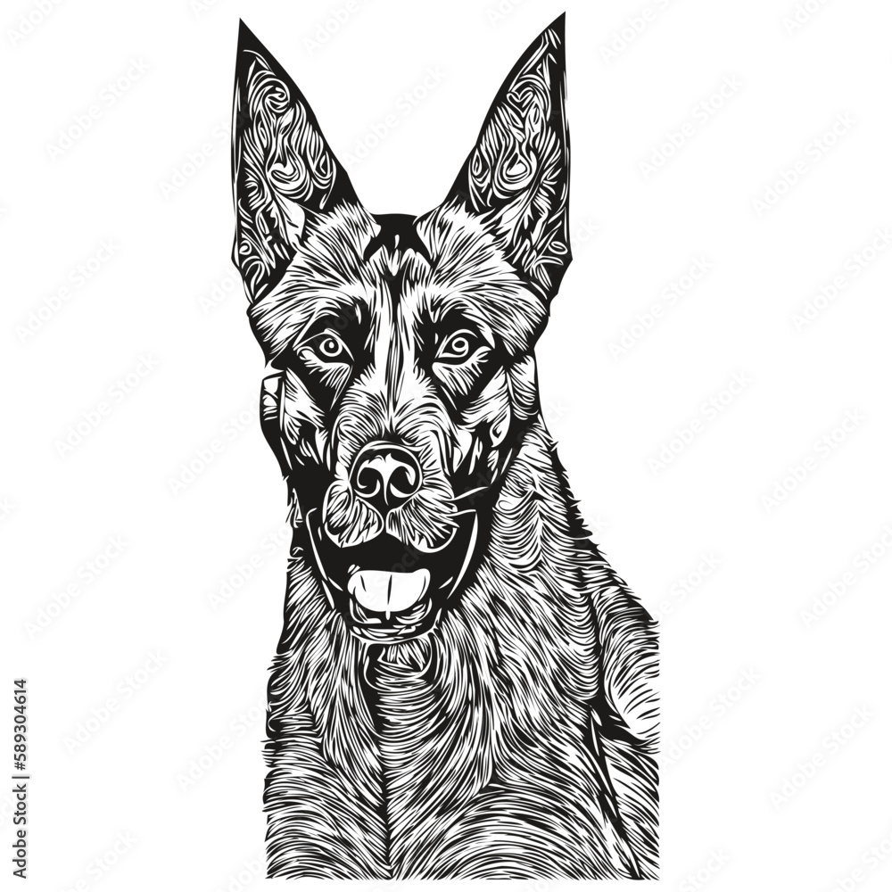 Belgian Malinois dog line art hand drawing vector logo black and white ...
