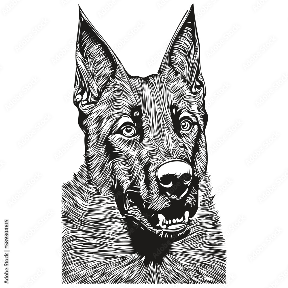 Belgian Malinois dog line art hand drawing vector logo black and white ...