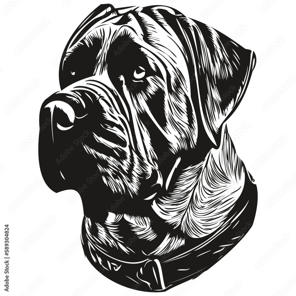 Cane Corso dog hand drawn line art vector drawing black and white logo ...