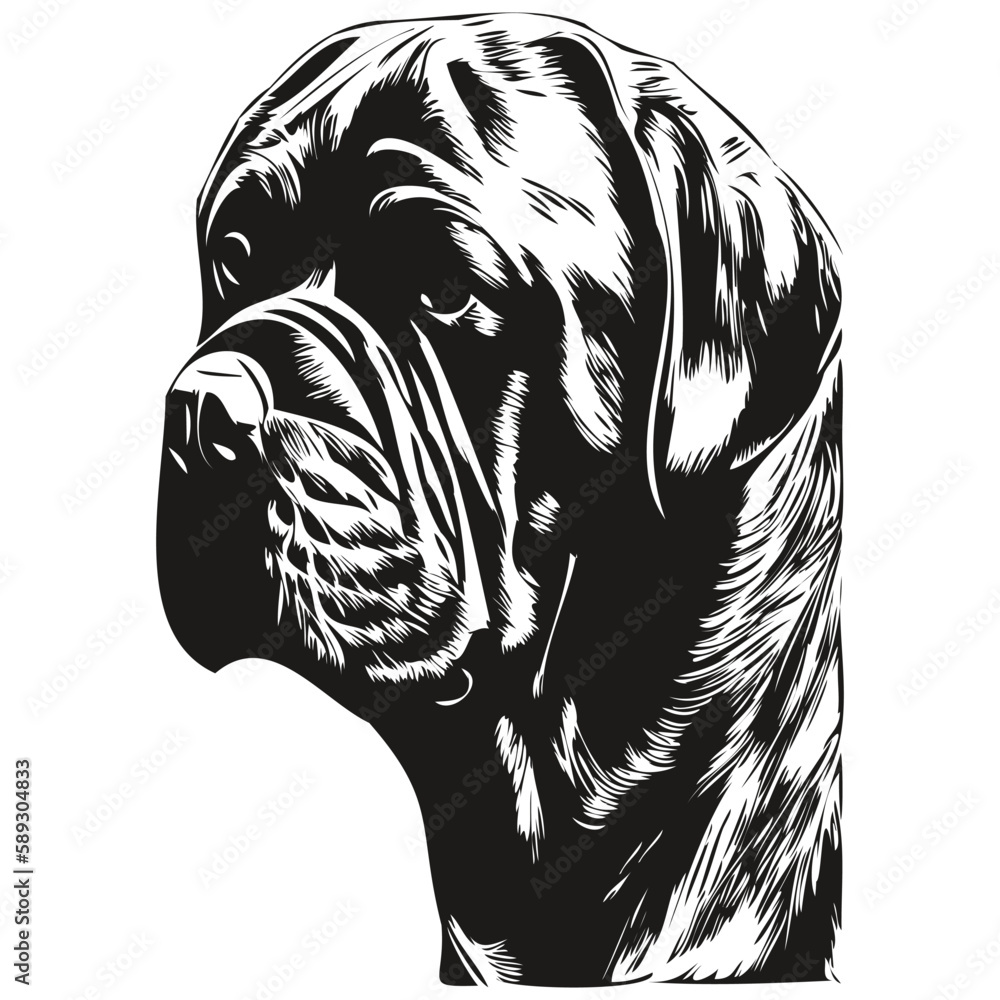 Cane Corso dog hand drawn line art vector drawing black and white logo ...