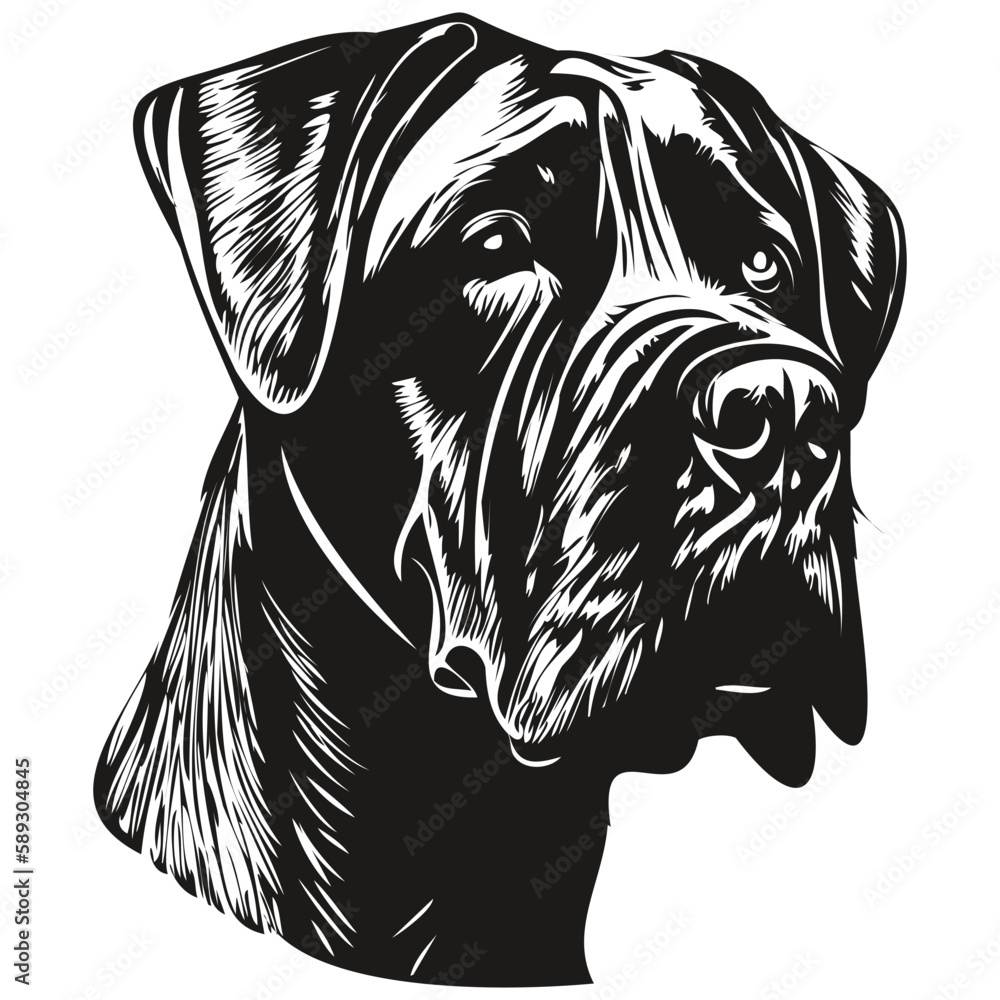 Cane Corso dog line art hand drawing vector logo black and white pets ...