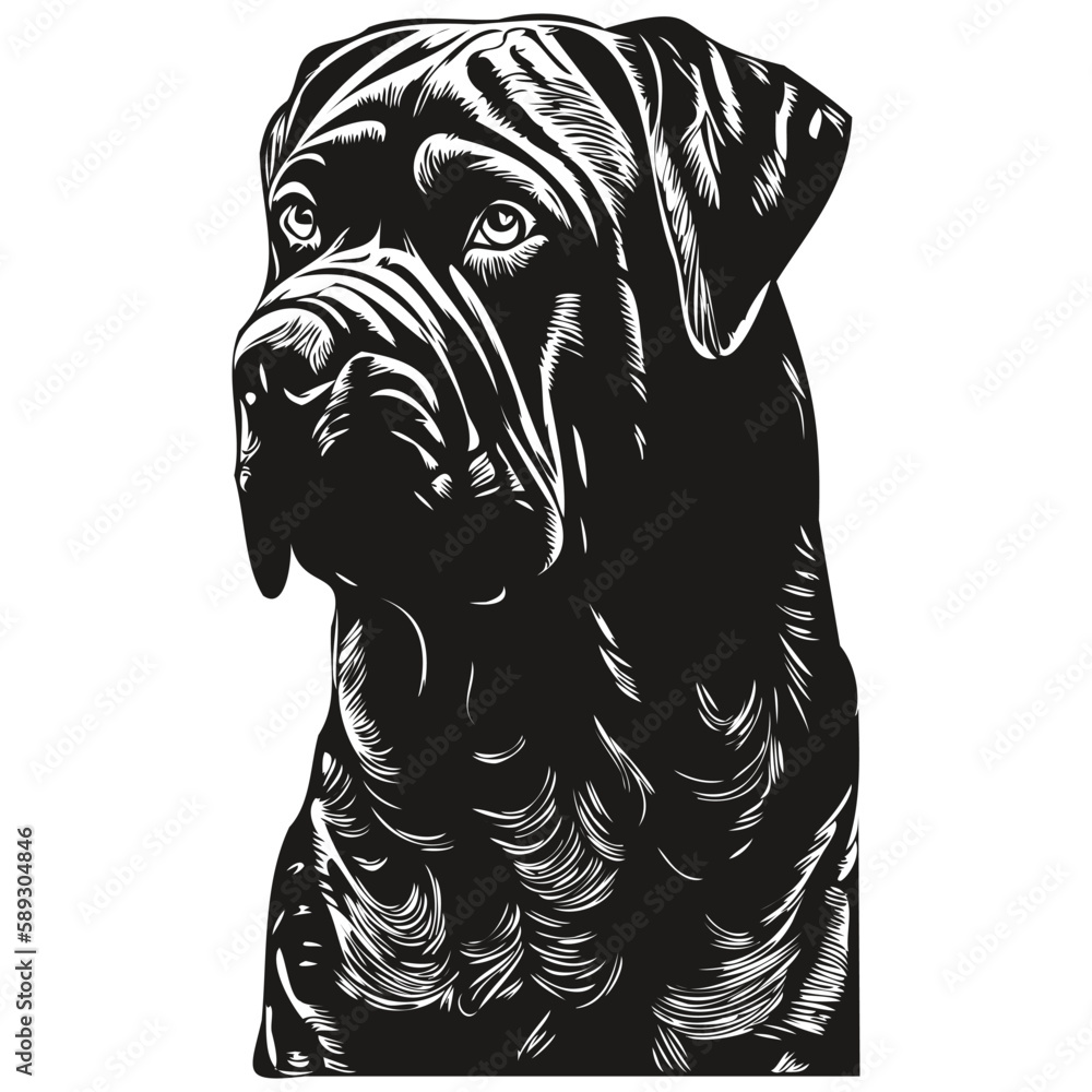 Cane Corso dog hand drawn line art vector drawing black and white logo ...