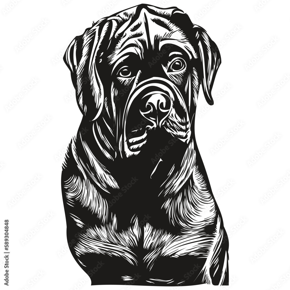 Cane Corso dog line art hand drawing vector logo black and white pets ...