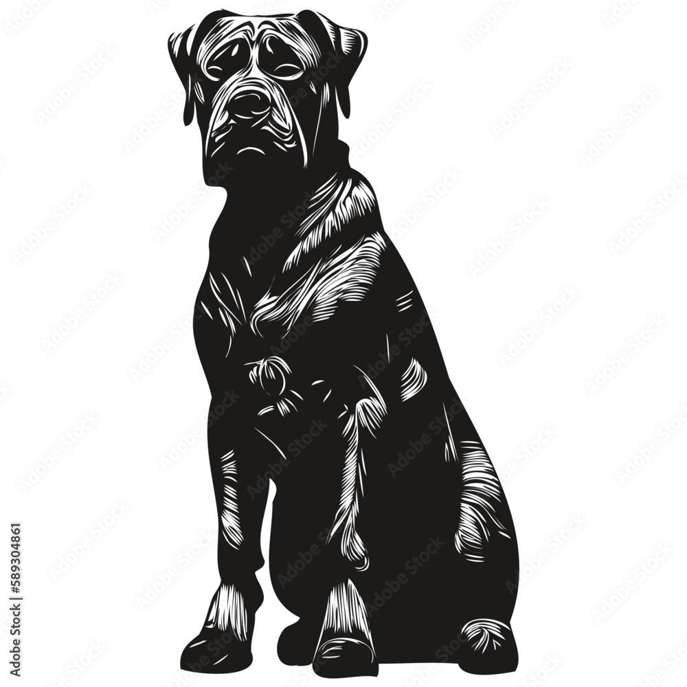 Cane Corso dog logo hand drawn line art vector drawing black and white ...