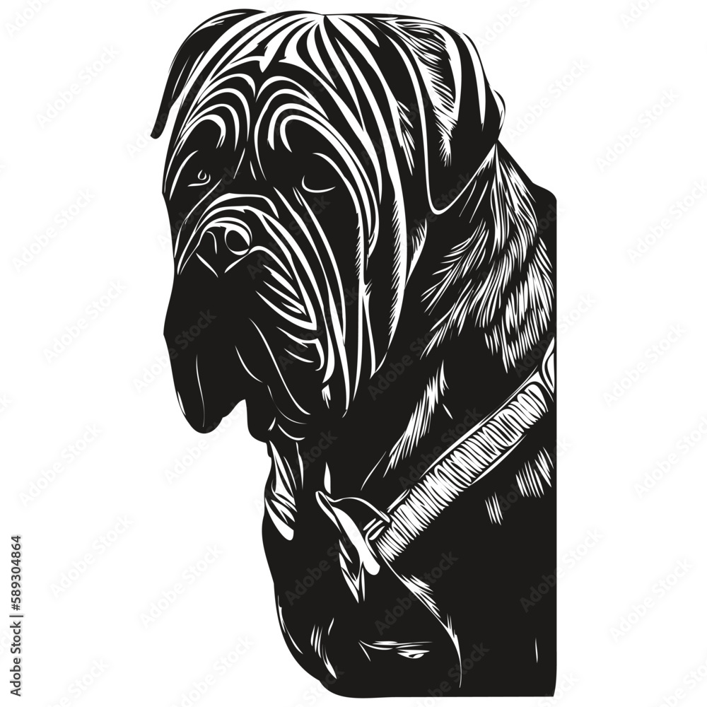 Cane Corso dog vector illustration, hand drawn line art pets logo black ...