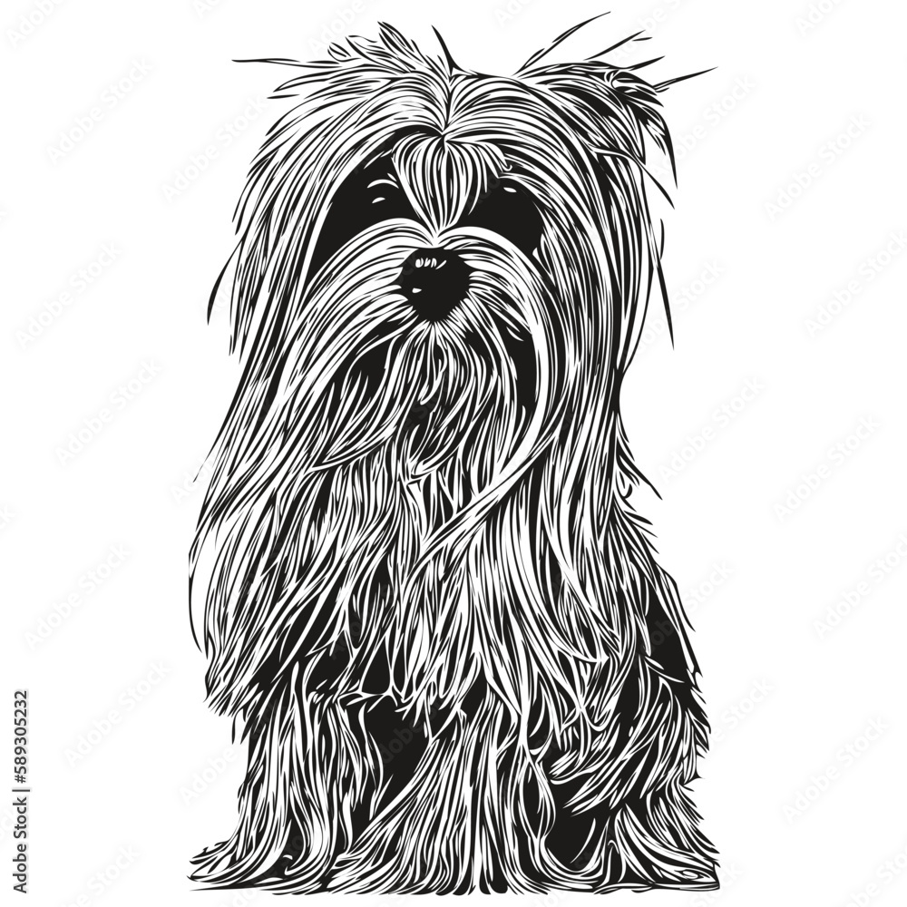 Maltese dog vector illustration, hand drawn line art pets logo black ...