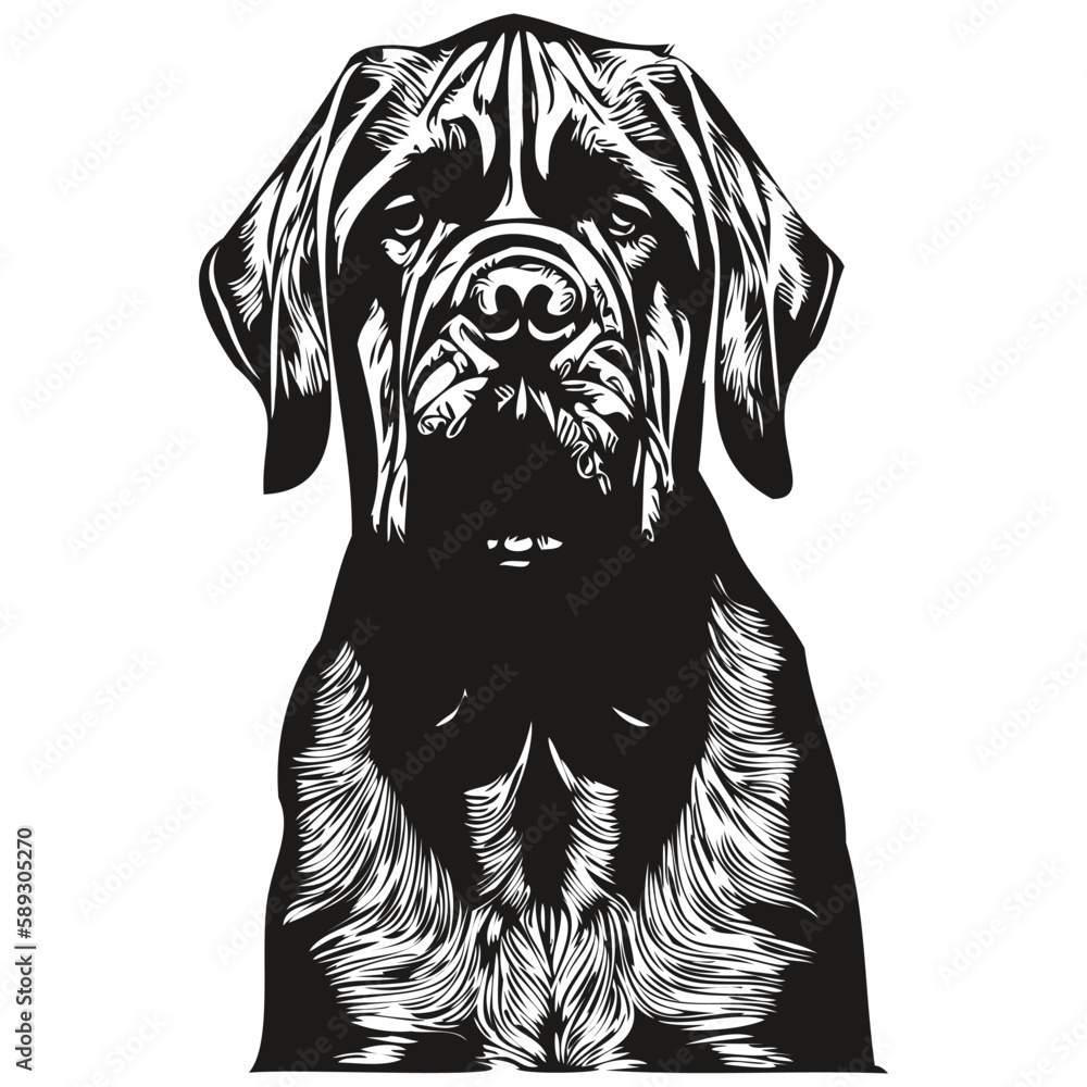 Mastiff dog line art hand drawing vector logo black and white pets ...