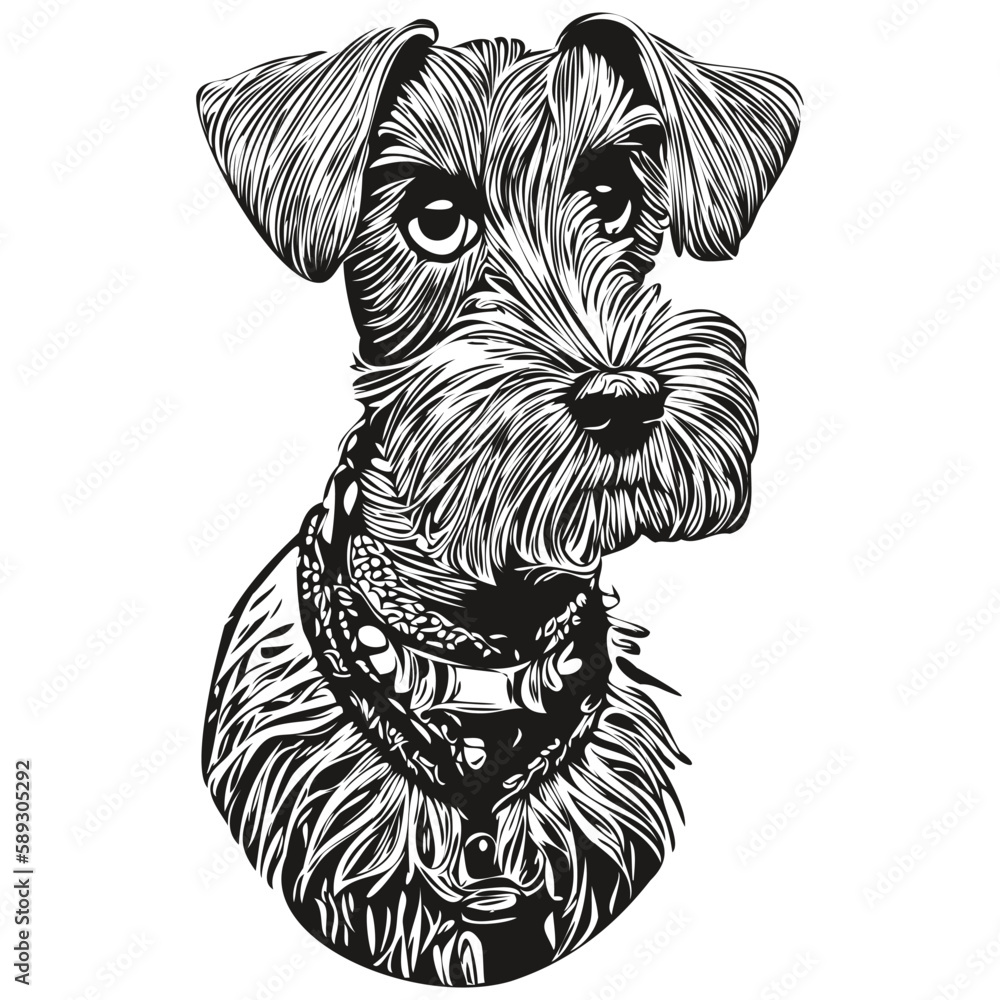 Miniature Schnauzer dog black and white vector logo, line art hand ...
