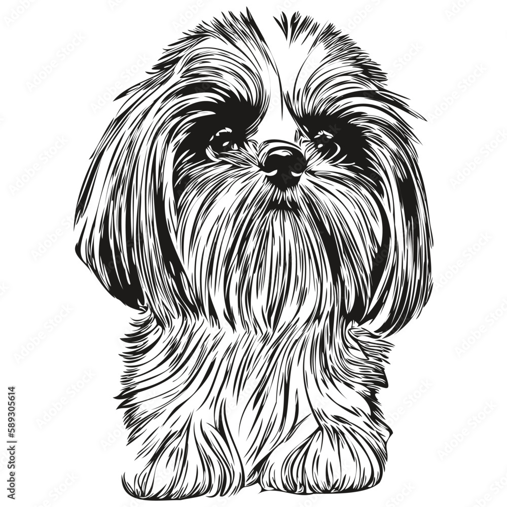 Poster Shih Tzu dog logo hand drawn line art vector drawing black and ...