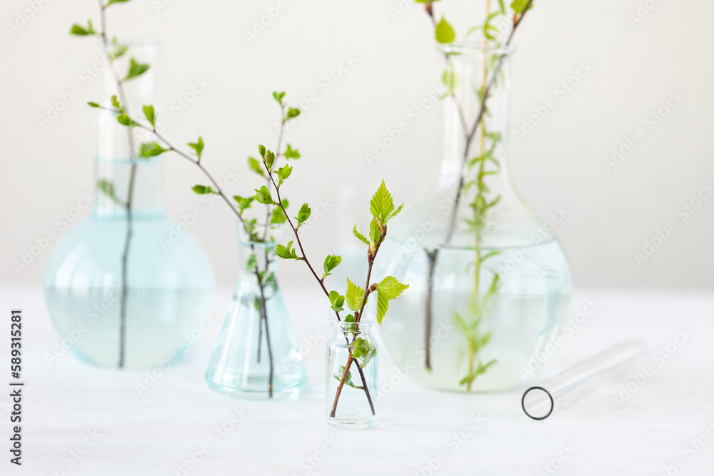 Concept of pure natural organic plant-based ingredients and water in ...