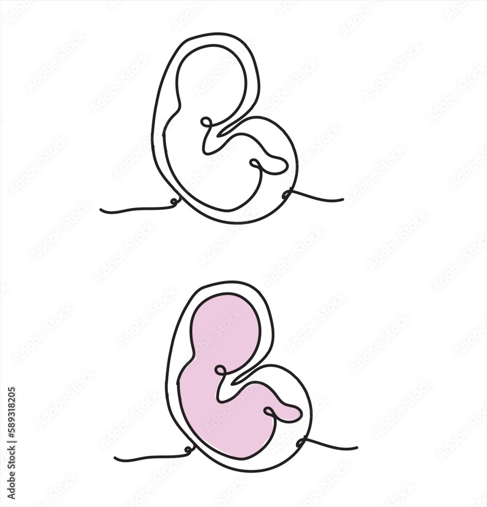 Continuous line drawing. Baby in womb on the white background. Vector ...