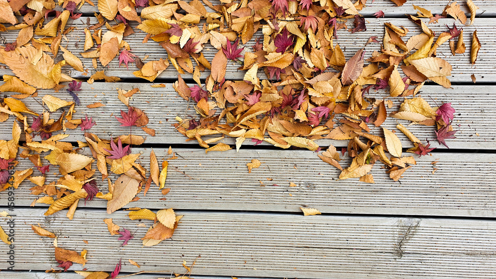 It is a picture of autumn leaves falling on the floor, showing seasonal ...