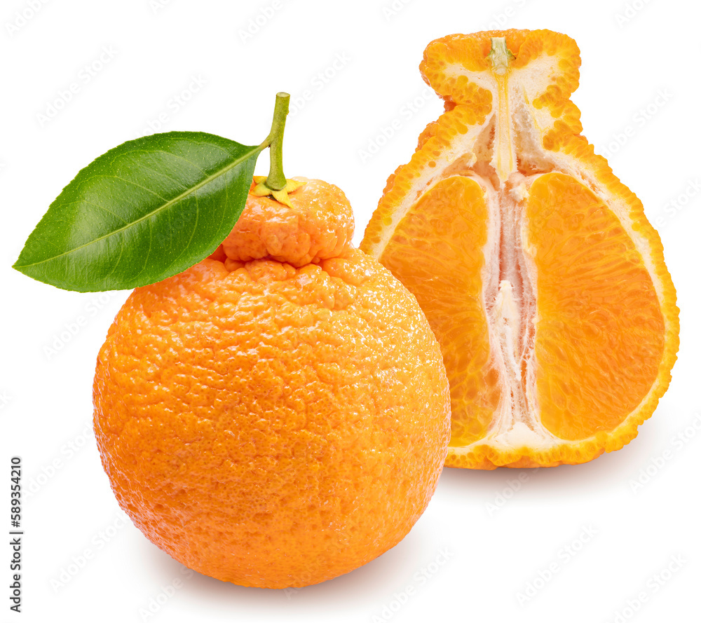 Sumo orange or Dekopon orange with leaves isolated on white background ...