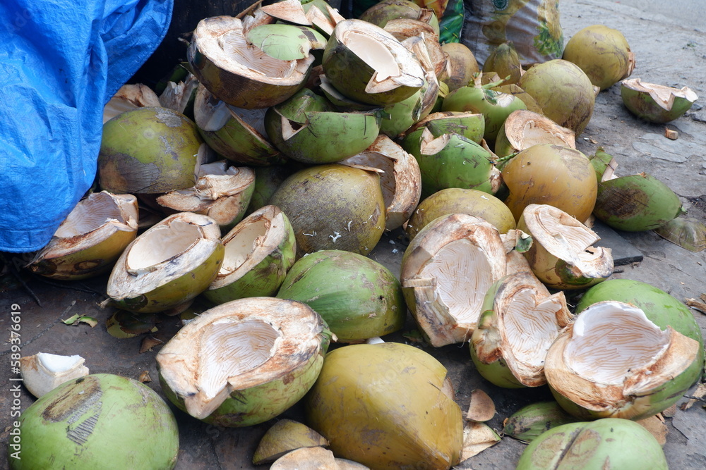 A pile of coconut waste to be used as cocopeat products. Coconut coir ...