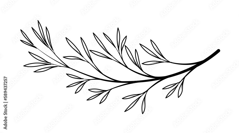 Line art branch. Tropical and exotic plants, monstera. Minimalistic ...