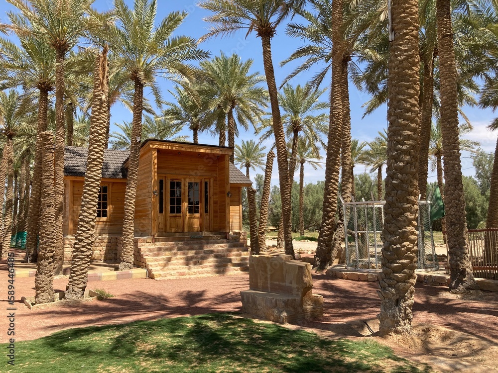 Beautiful farms, in the Al-Sabah neighborhood, in the city of Buraidah ...
